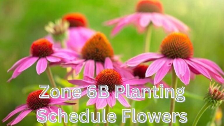 Zone 9b Planting Guide: Month-by-Month Tips for Success - StarterGarden